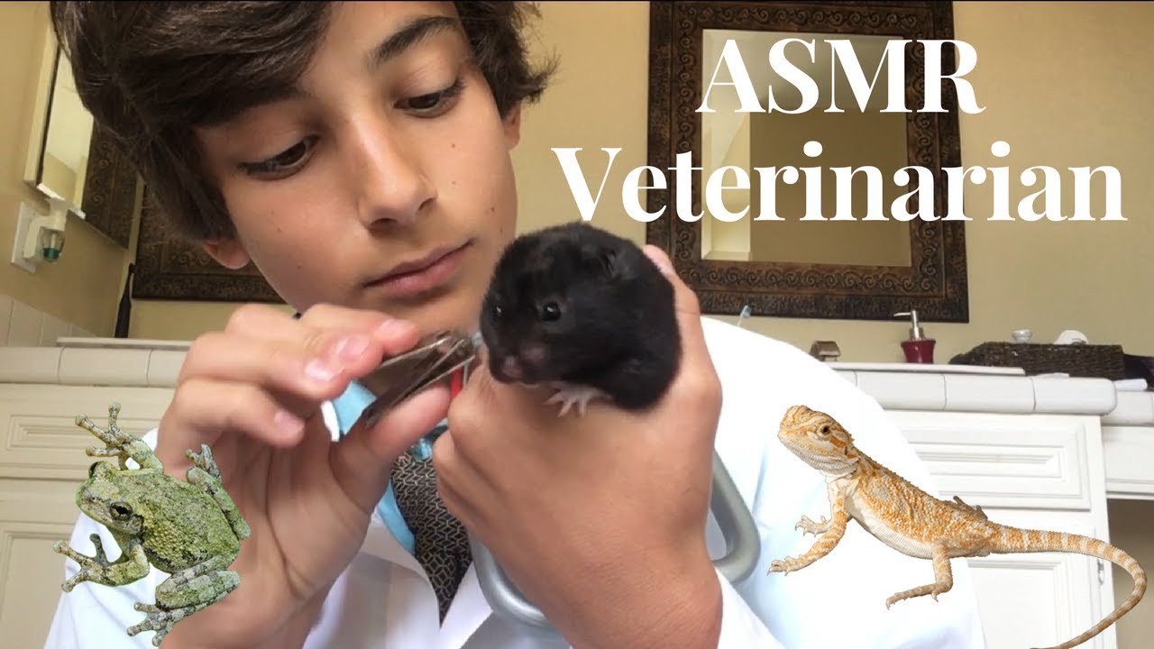 ASMR Veterinarian Pet Checkup - YouTube