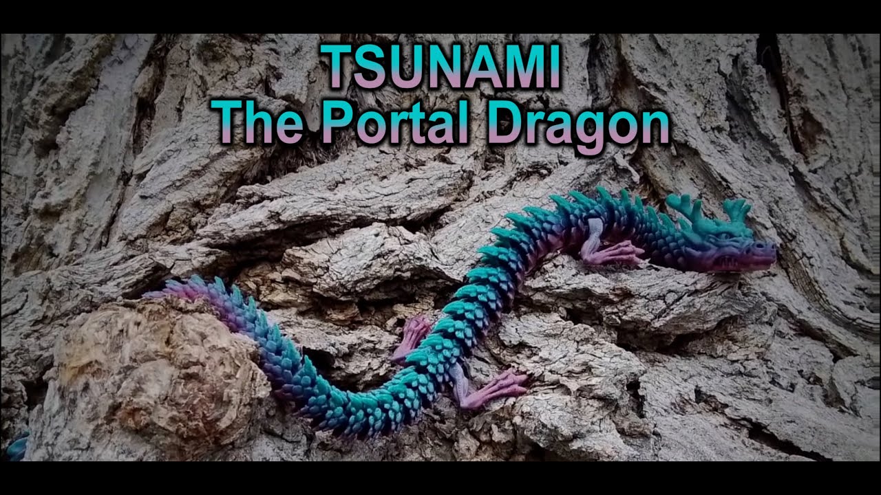 TSUNAMI The Portal Dragon - FUN FOR KIDS | homemade movie - YouTube