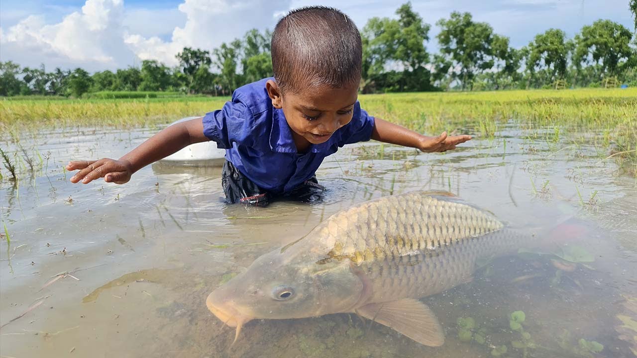 Amazing Hand Fishing - Smart Boy Catching Fish by Hand - Traditional ...