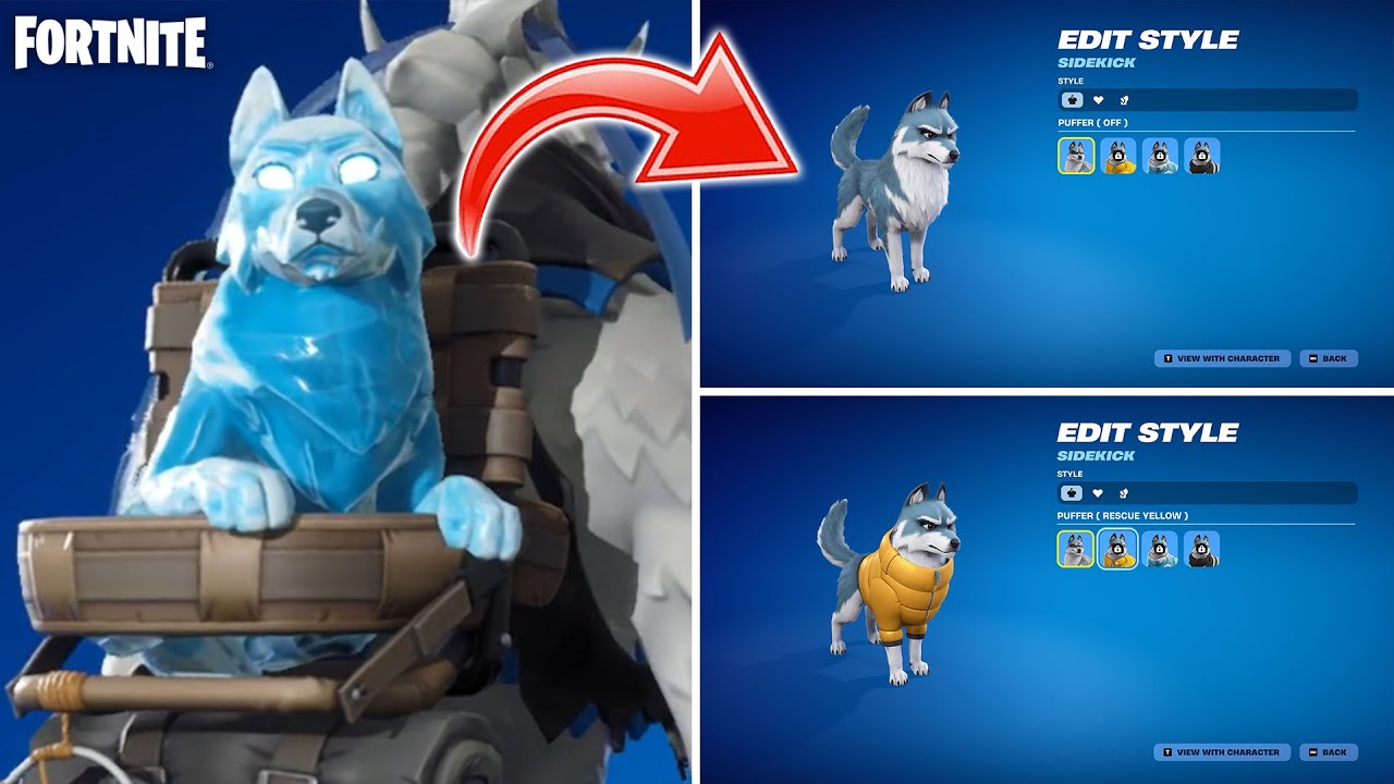 *NEW* Fortnite Sidekick : REMUS - YouTube