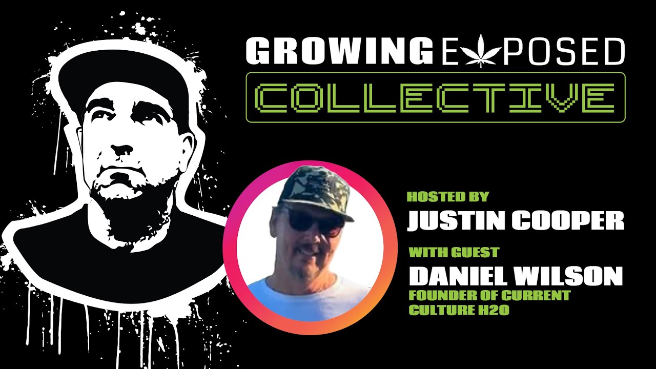 Justin x Daniel Wilson | Founder of Current Culture H2O - YouTube