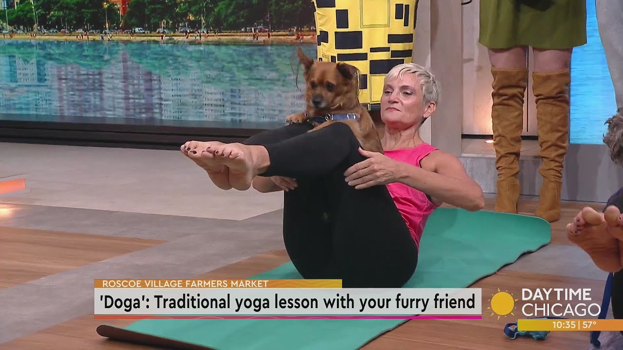 'Doga': Traditional yoga lesson with your furry friend - YouTube