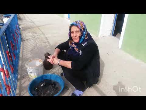 DEDEM BİZLER İÇİN MİRAS BIRAKMIŞ ALLAH RAZI OLSUN MEKANI CENNET Olsun.