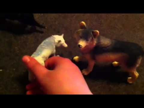 The wolf pack and the lion pride movie part 1 - YouTube