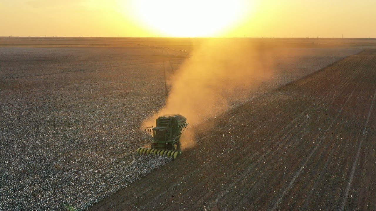 A look Inside a cotton stripper. Header, burr extractor and basket ...