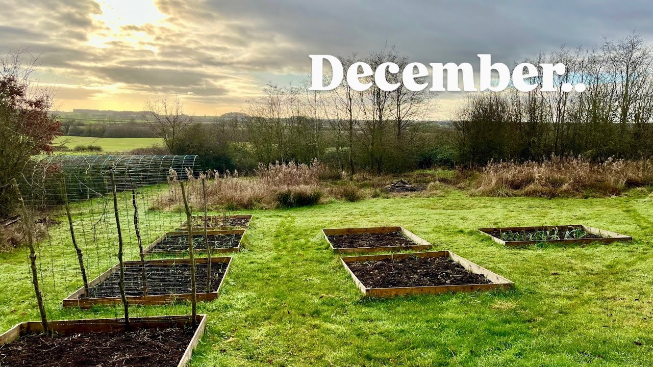 December Gardening: Tips & Inspiration - YouTube
