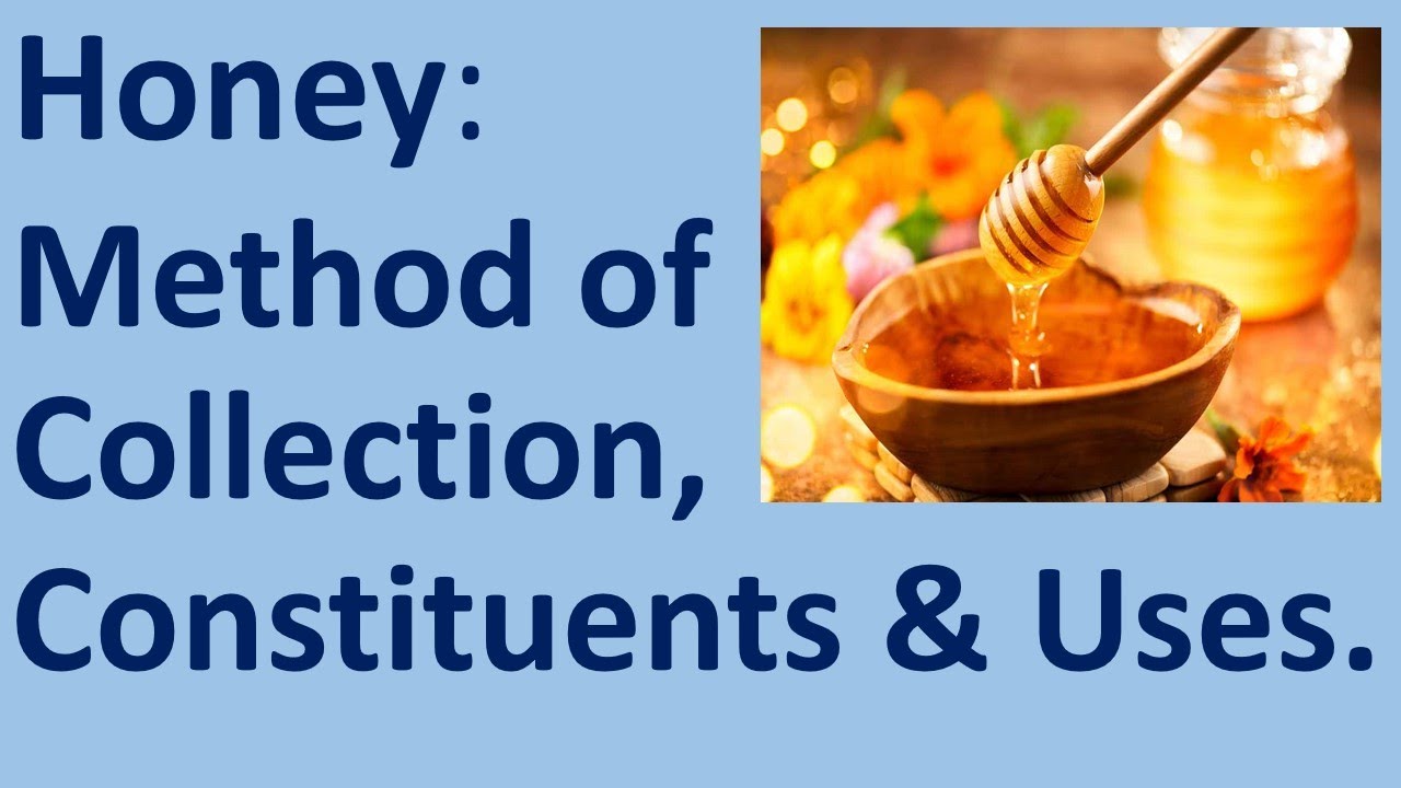Honey: Method of Collection, Constituents and Uses. - YouTube