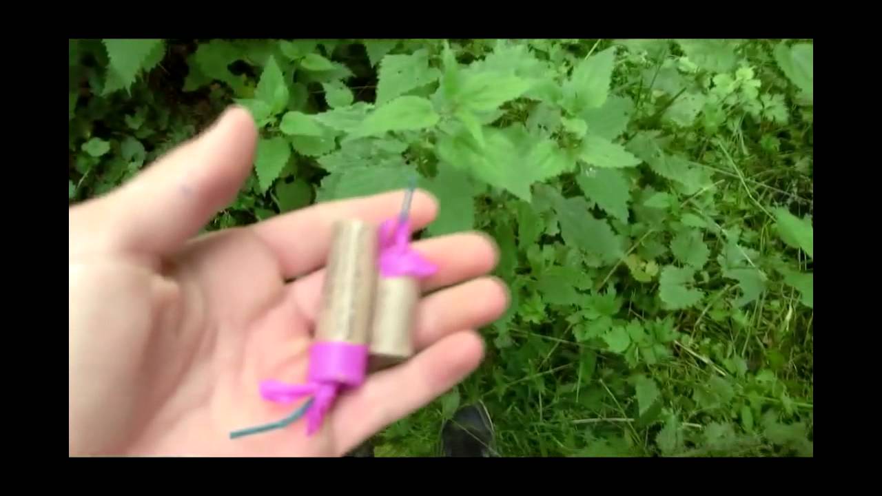 FP3 vs FP3 small [(im Teich)] - YouTube