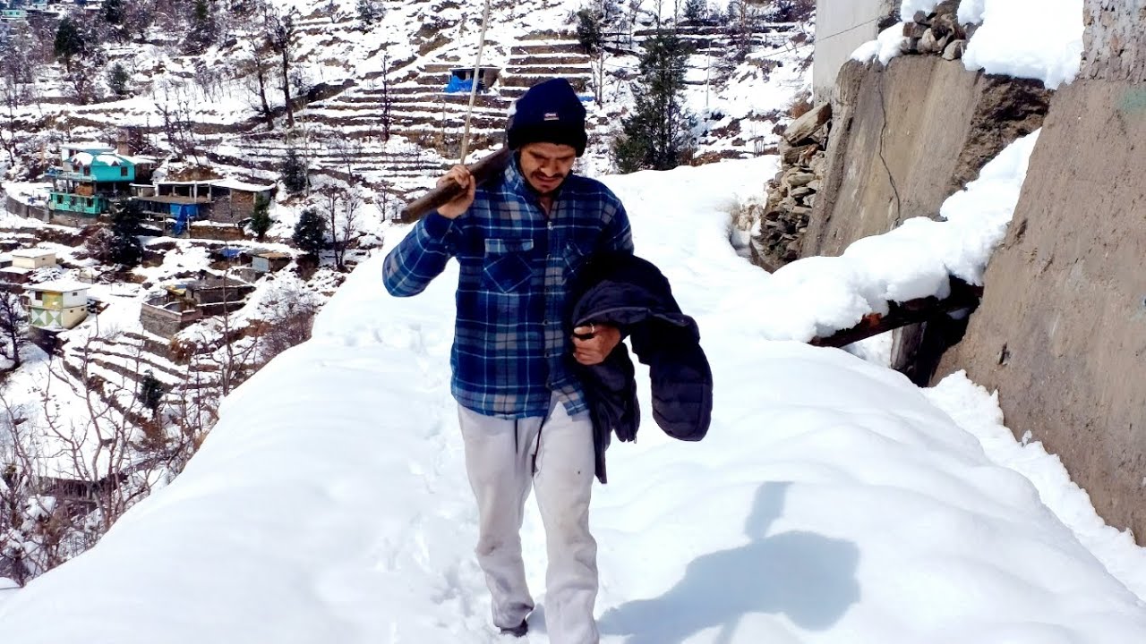 Sonw Fall 2024 In Moorang village kinnaur 🤎 Of Himachal Pradesh - YouTube