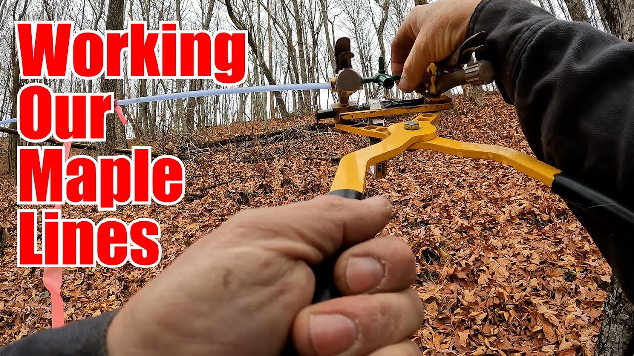 Working our North Maple Lines - YouTube