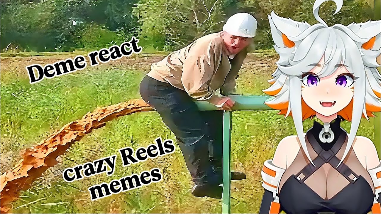 Deme react | CRAZY REELS MEMES COMPILATION - YouTube