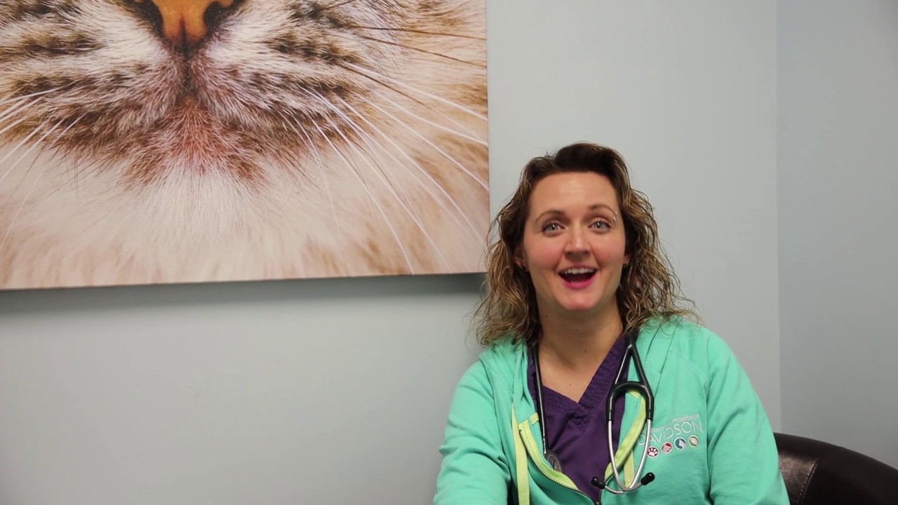 Dr. Tamara Rattray - YouTube