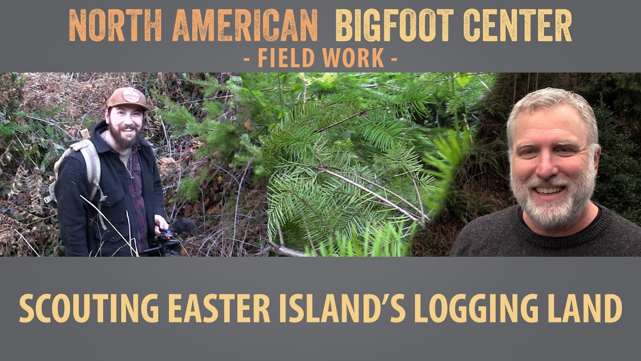 Scouting "Easter Island" Logging Lands - December 2022 - YouTube