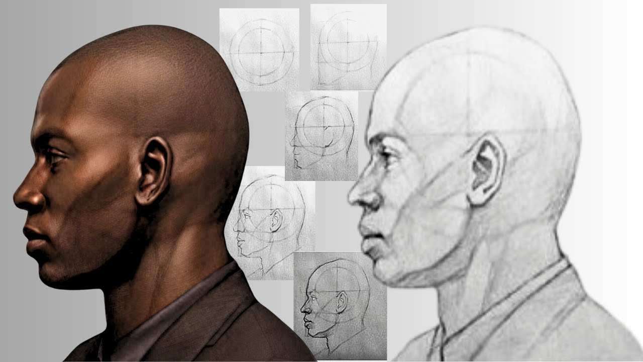 Have fun drawing this profile portrait with the loomis method step by ...