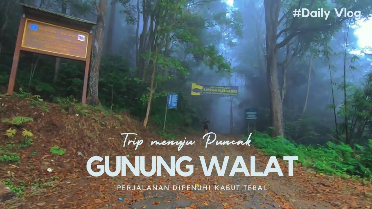 Dipenuhi Kabut tebal jalan menuju puncak gunung walat sendirian - YouTube