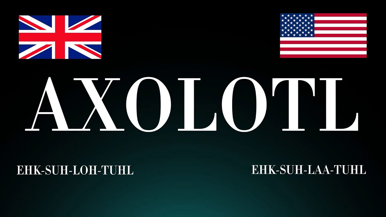 Learn How to Pronounce 'Axolotl' Correctly: UK vs USA (Animal ...