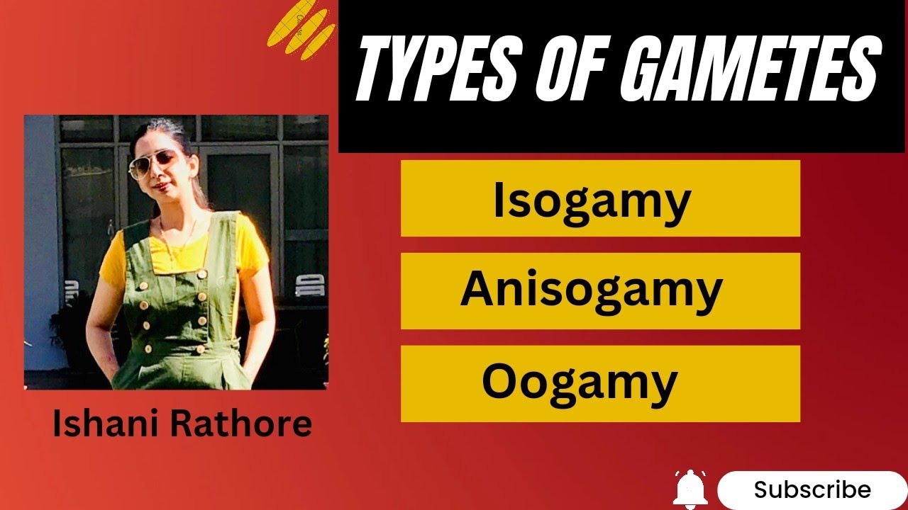 Types of gamete - Isogamy, Anisogamy, Oogamy🔥#neet #neetbiology # ...