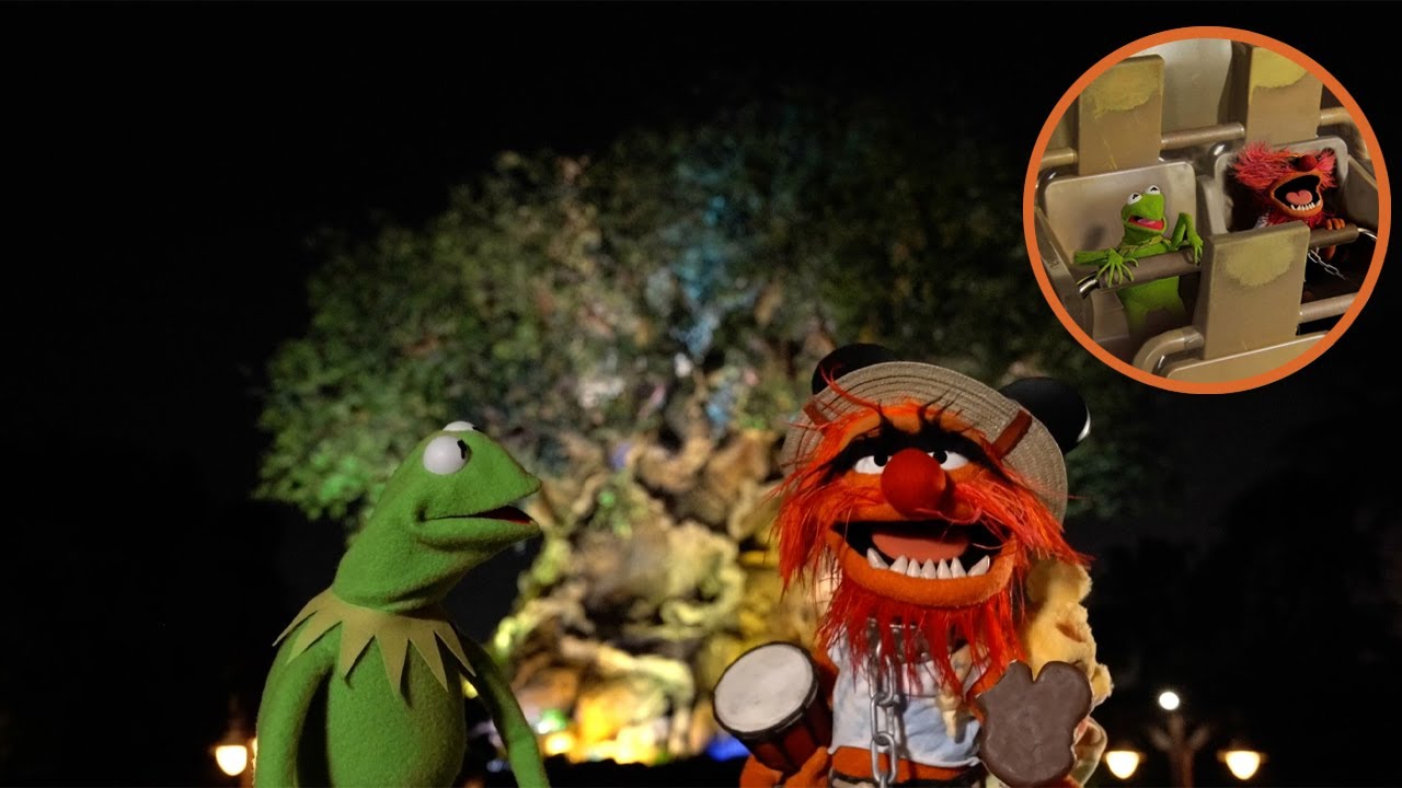 Kermit The Frog & Animal Visit Disney's Animal Kingdom For 25th ...