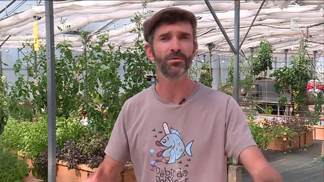 Saint-Victor-l'Abbaye : Guillaume Schlur fait pousser des plantes avec ...