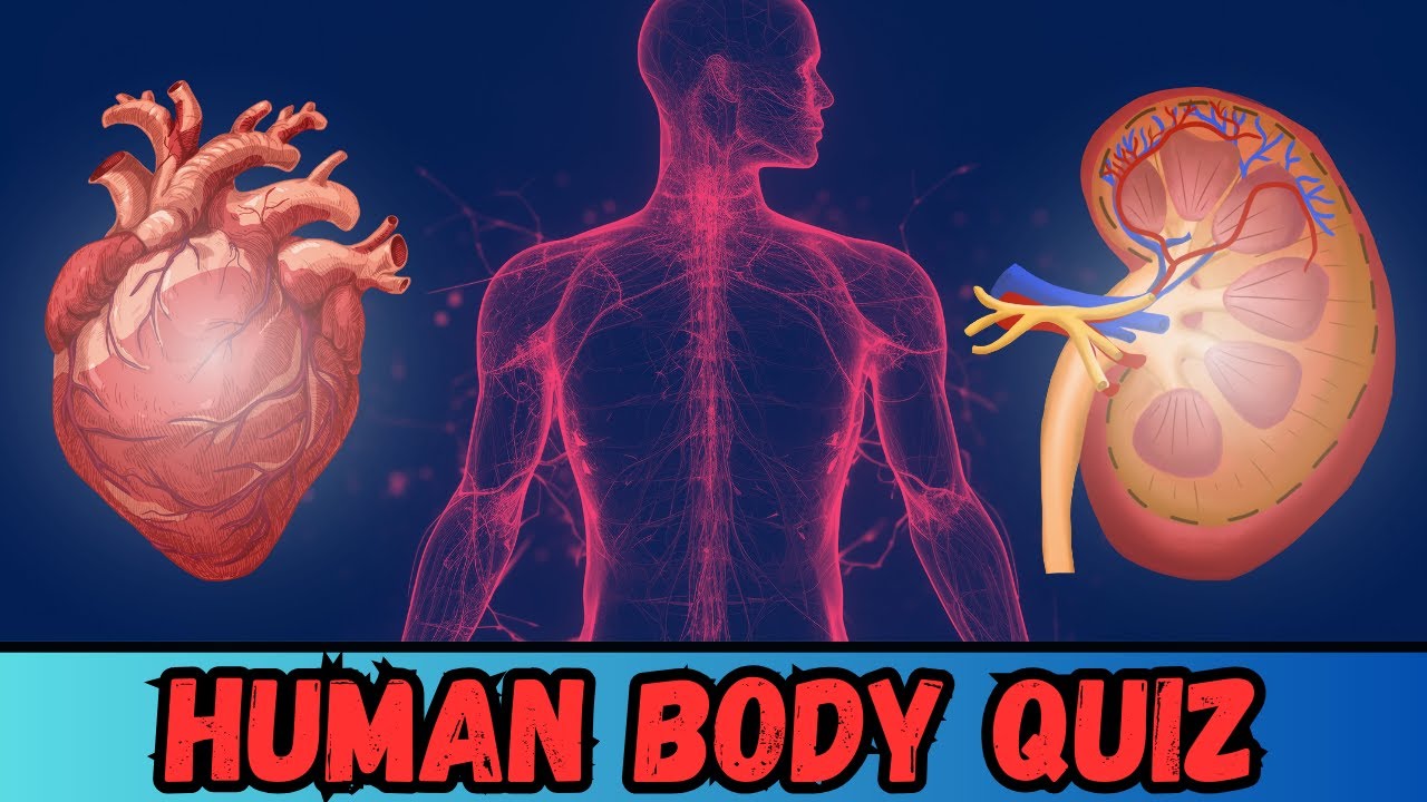 Human Body Quiz🧠 | General Knowledge Challenge⚡ - YouTube