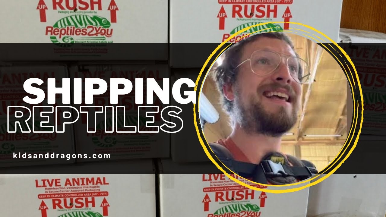 Shipping reptiles! - YouTube