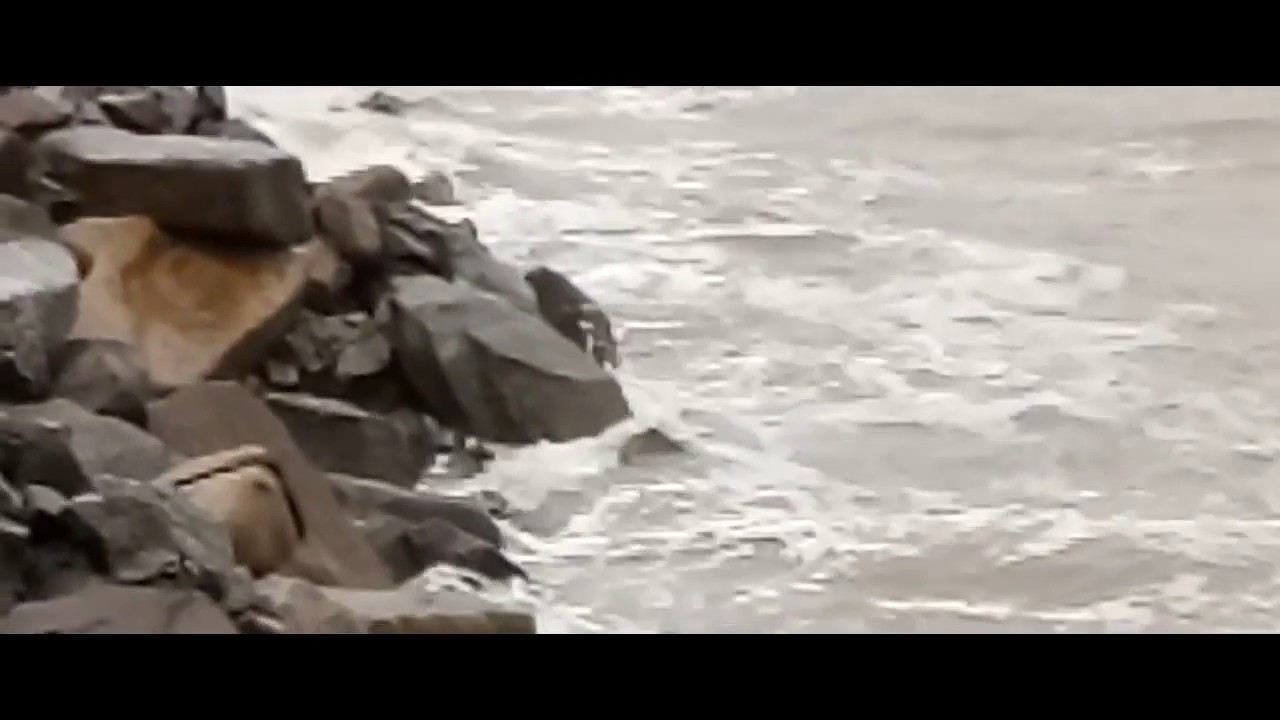 Sea-beach scene - YouTube