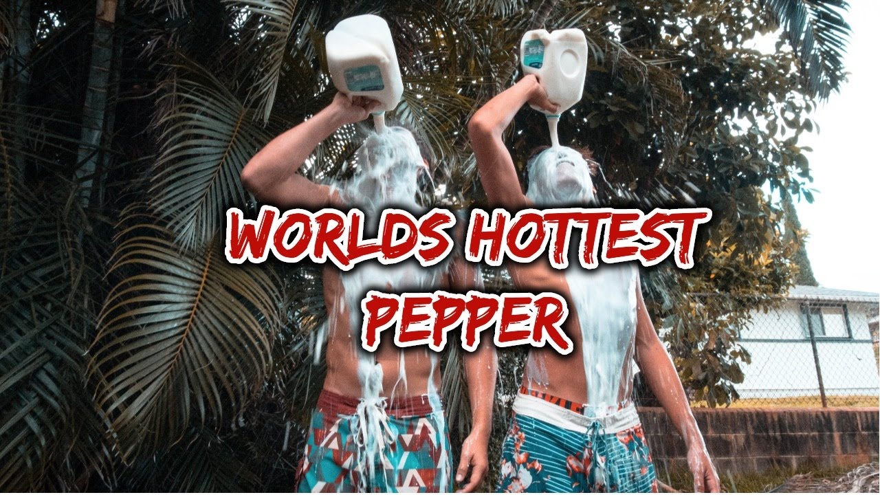 Carolina Reaper Challenge - YouTube