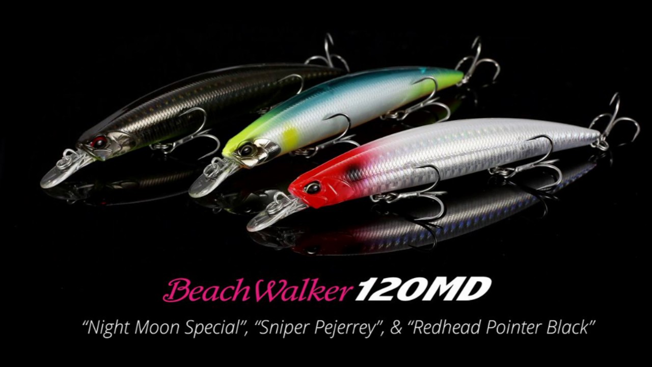 BeachWalker 120MD Limited Edition en Todo Pesca Pesca Deportiva - YouTube