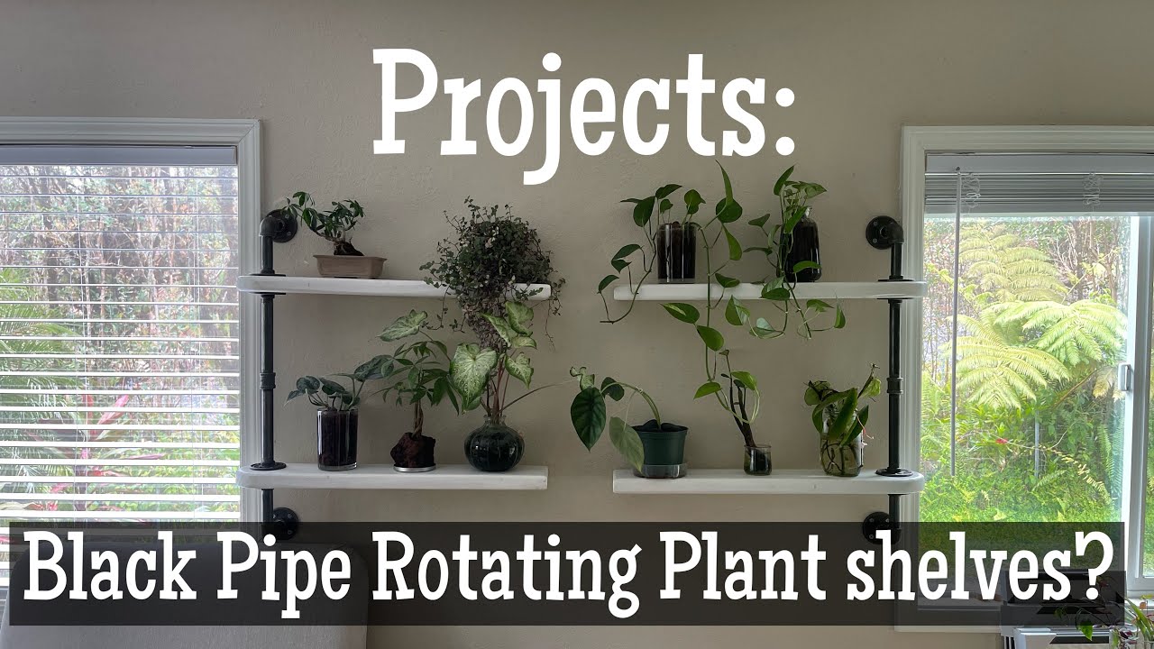 #project #blackpipe #plants Black Pipe Rotating Plant Shelf - YouTube