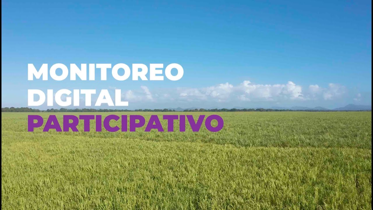¿Qué es el Monitoreo Digital Participativo? - YouTube