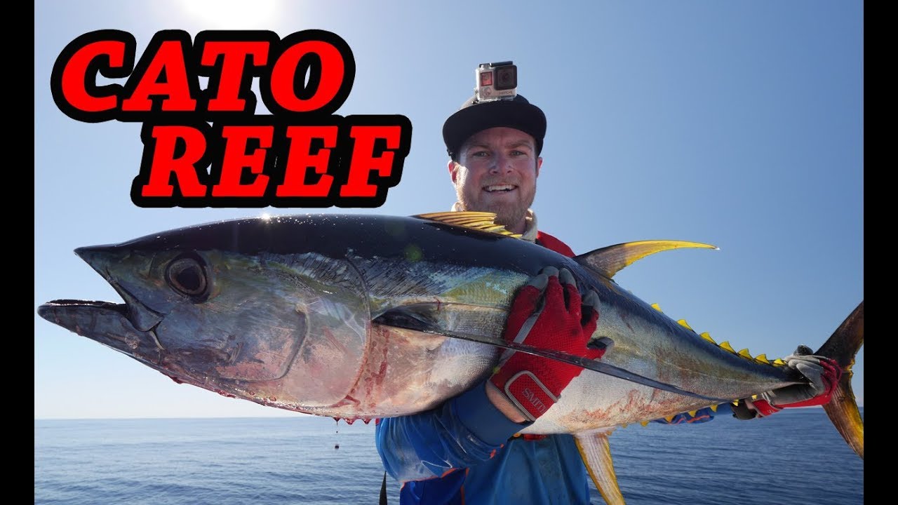 Cato Reef - Fishing Paradise - YouTube