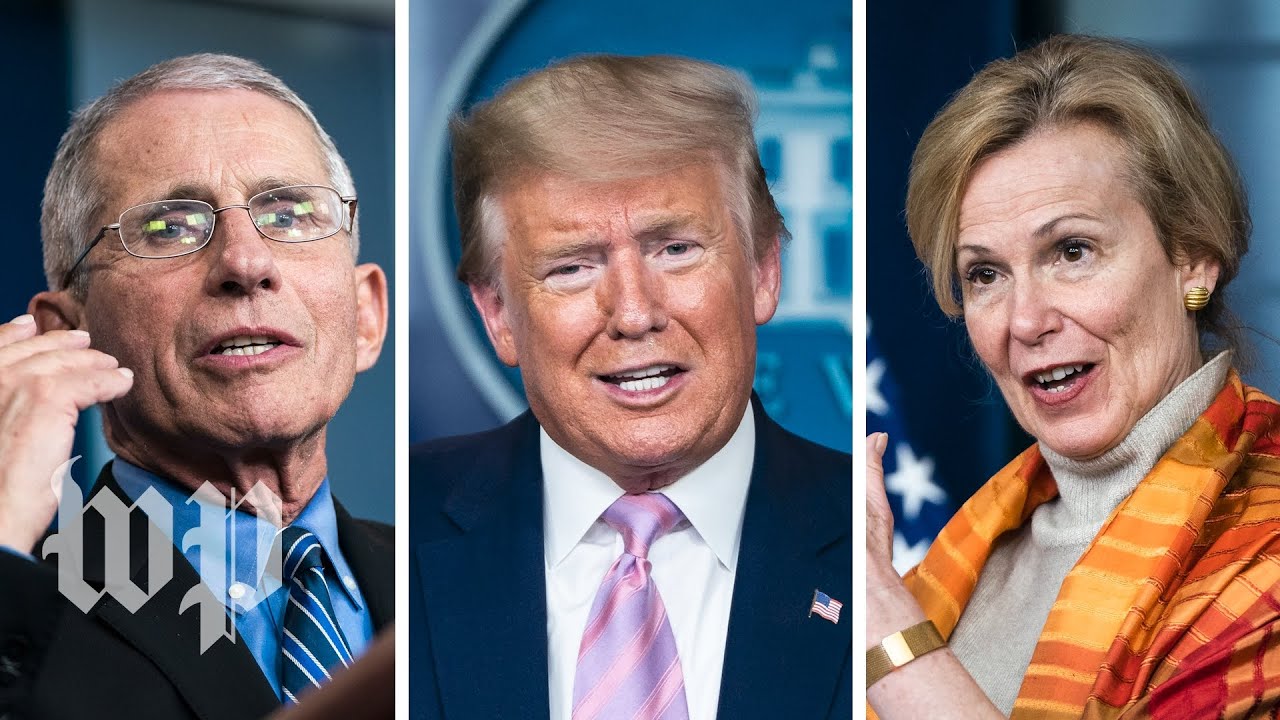 Trump, Fauci, Birx deliver mixed messages on hydroxychloroquine - YouTube