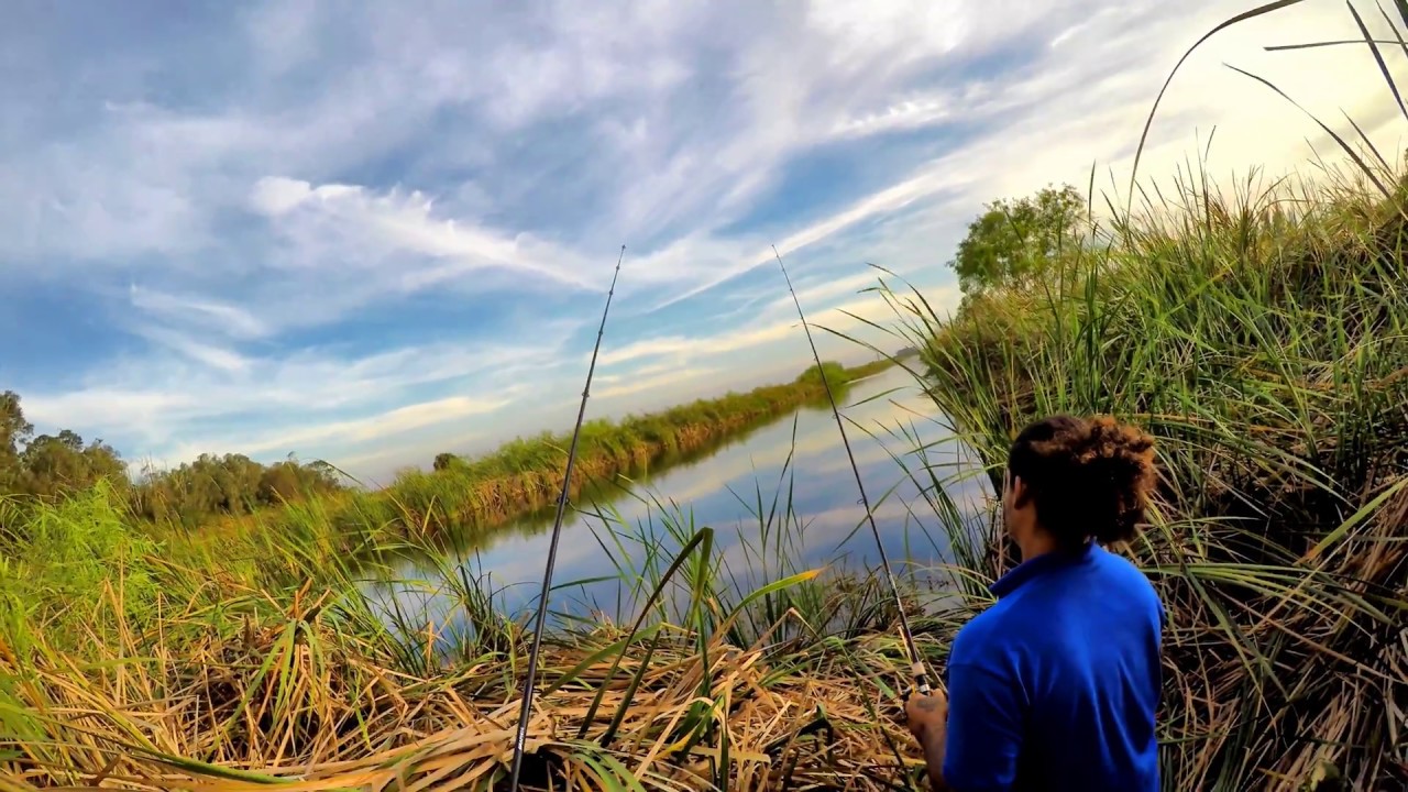 BullHead CatFish Strikes Soft Bait - YouTube