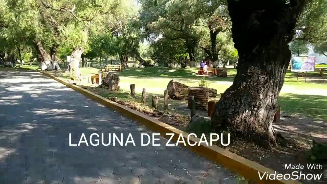 Zacapu michoacan com