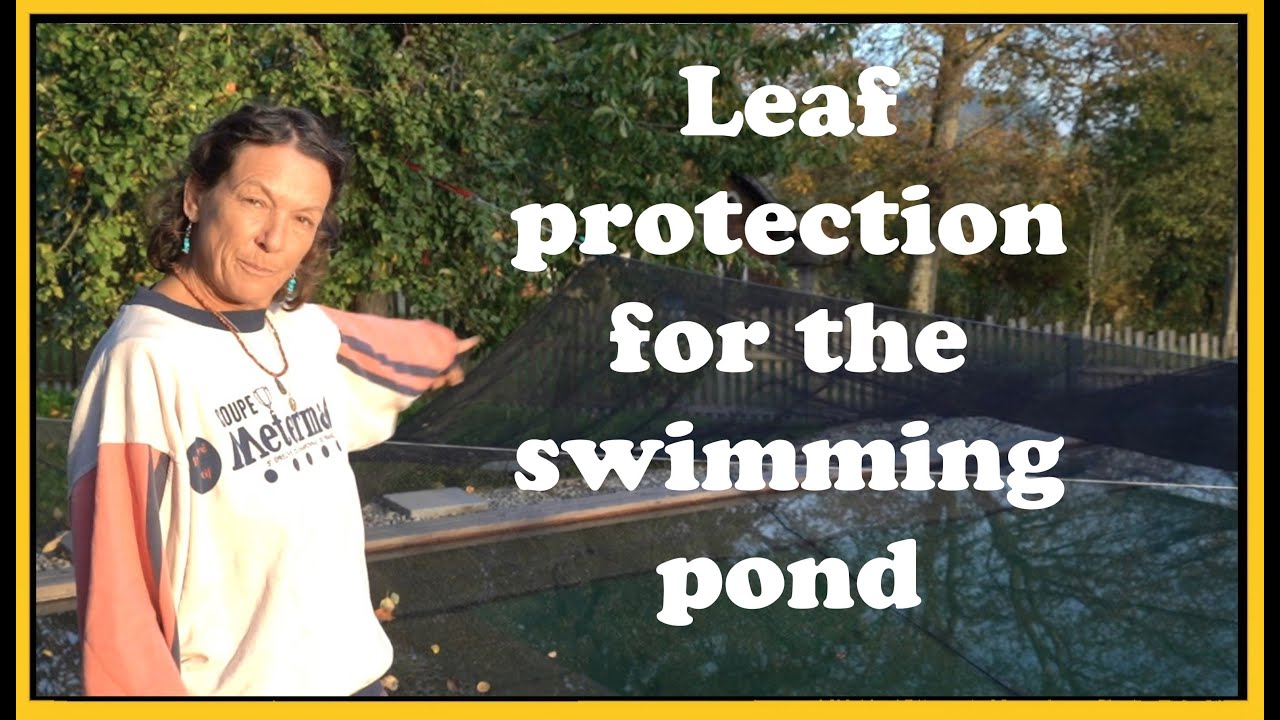 Leaves in the pond? We test the simple solution with the leaf net - YouTube