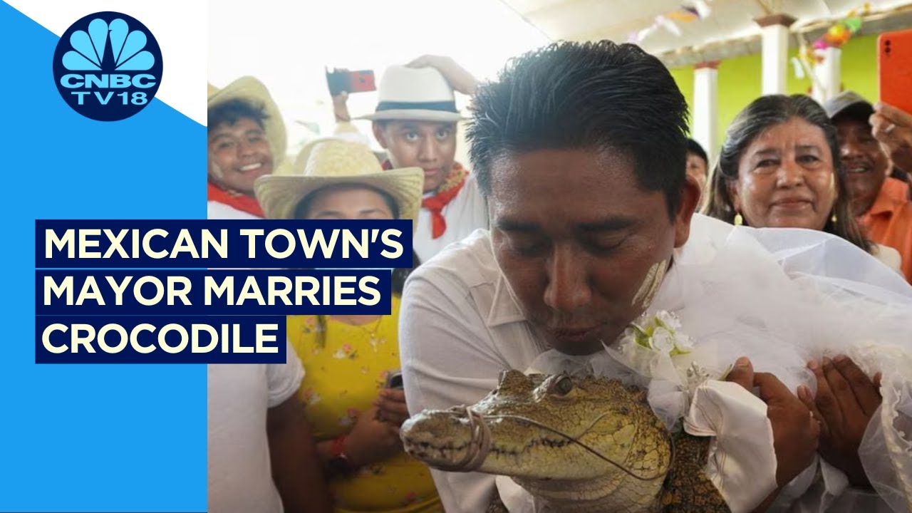 WATCH | Mexican Town's Mayor Marries Crocodile | CNBCTV18 - YouTube