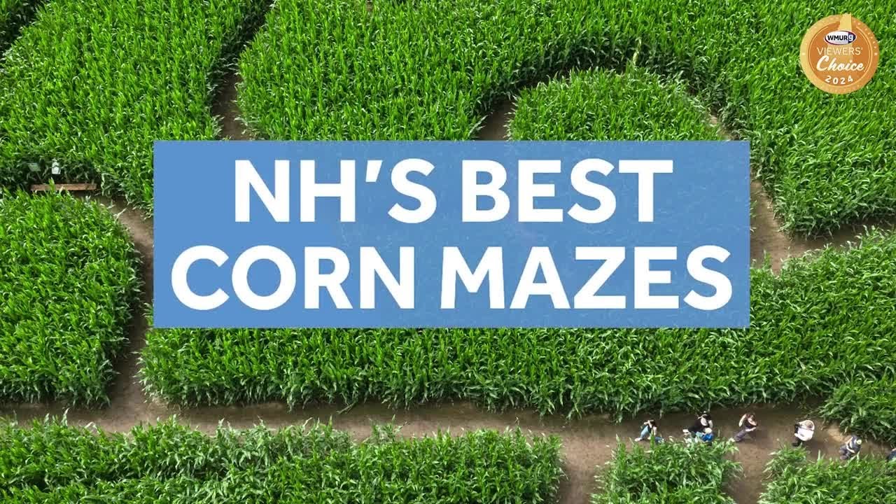 Viewers' Choice 2024: Best corn maze in New Hampshire - YouTube