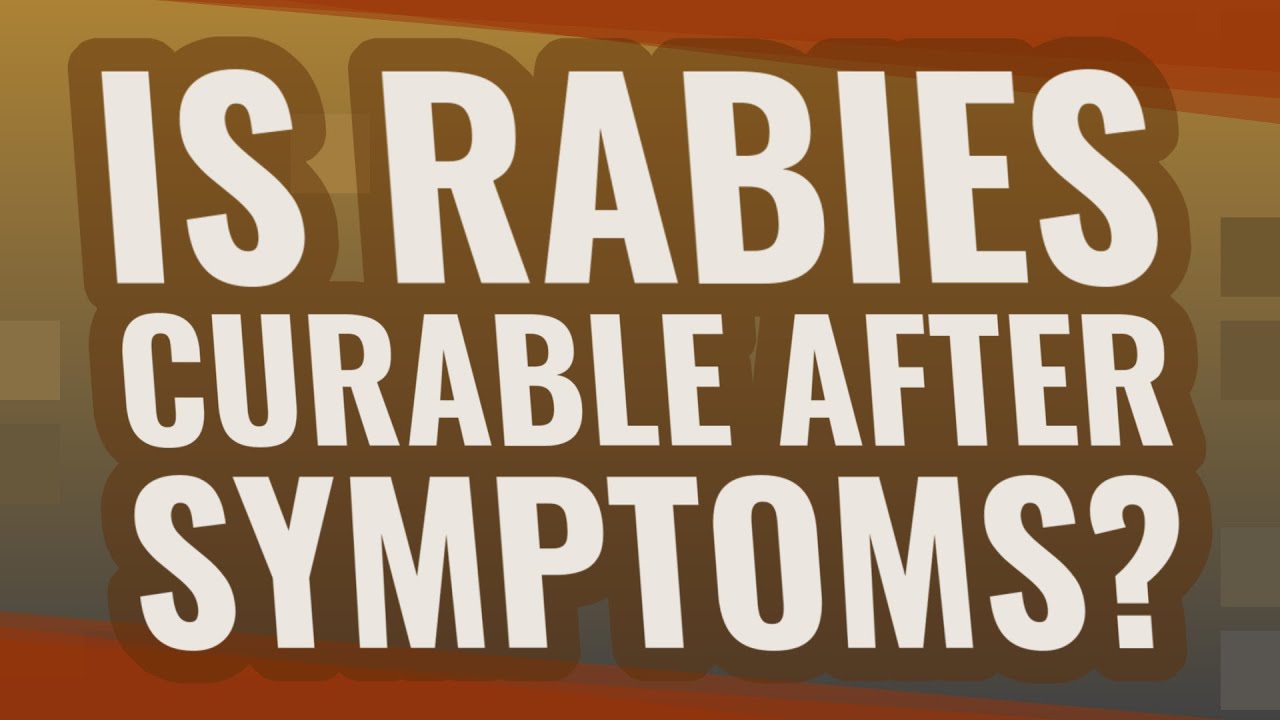 Is rabies curable after symptoms? - YouTube