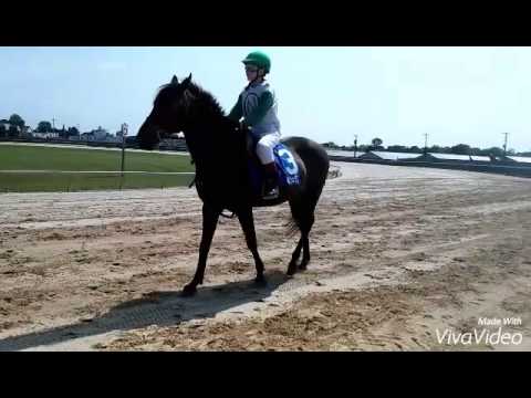 U.S Pony Racing (Timonium Race Track) - YouTube