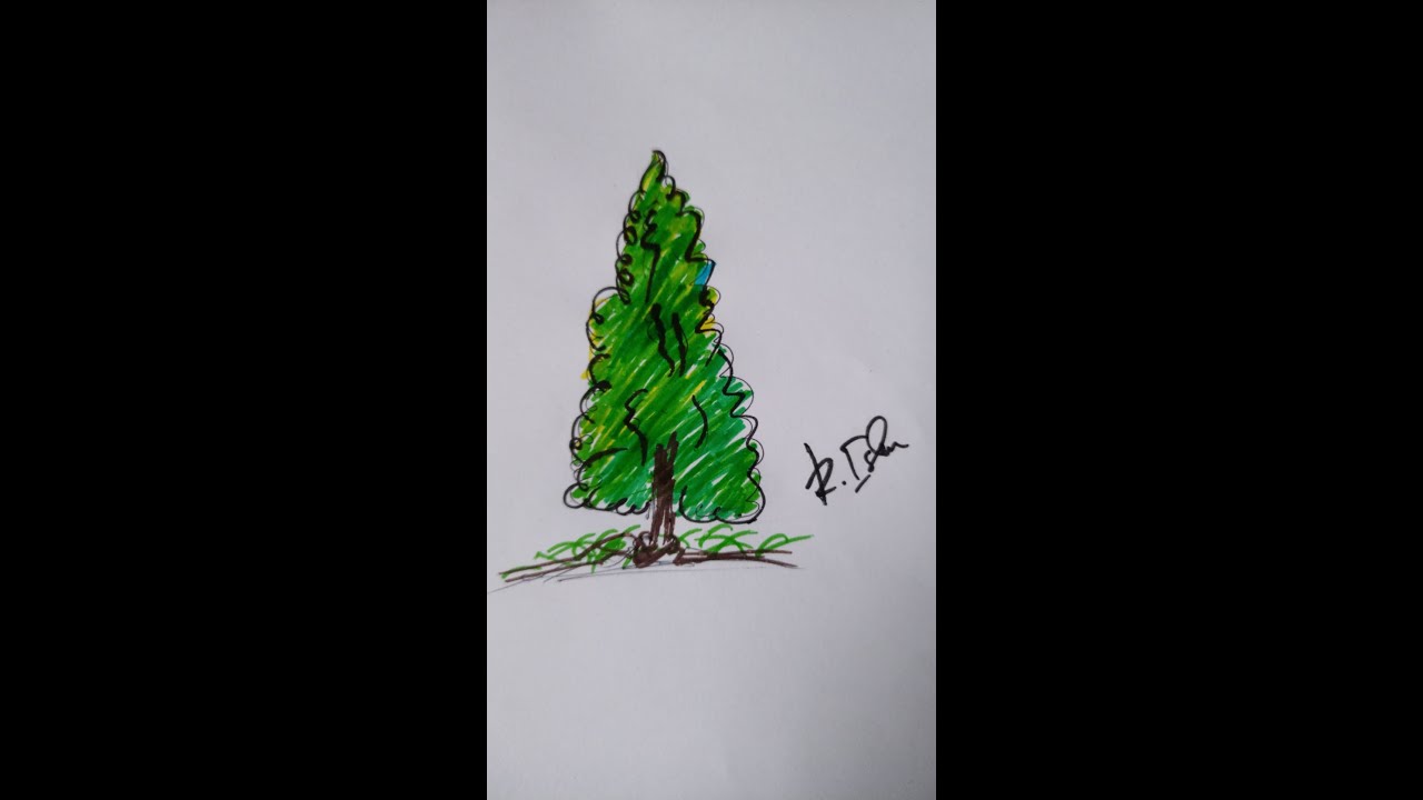 How to draw marker pen tree very easy | মার্কার দিয়ে গাছ আঁকা সহজে ...