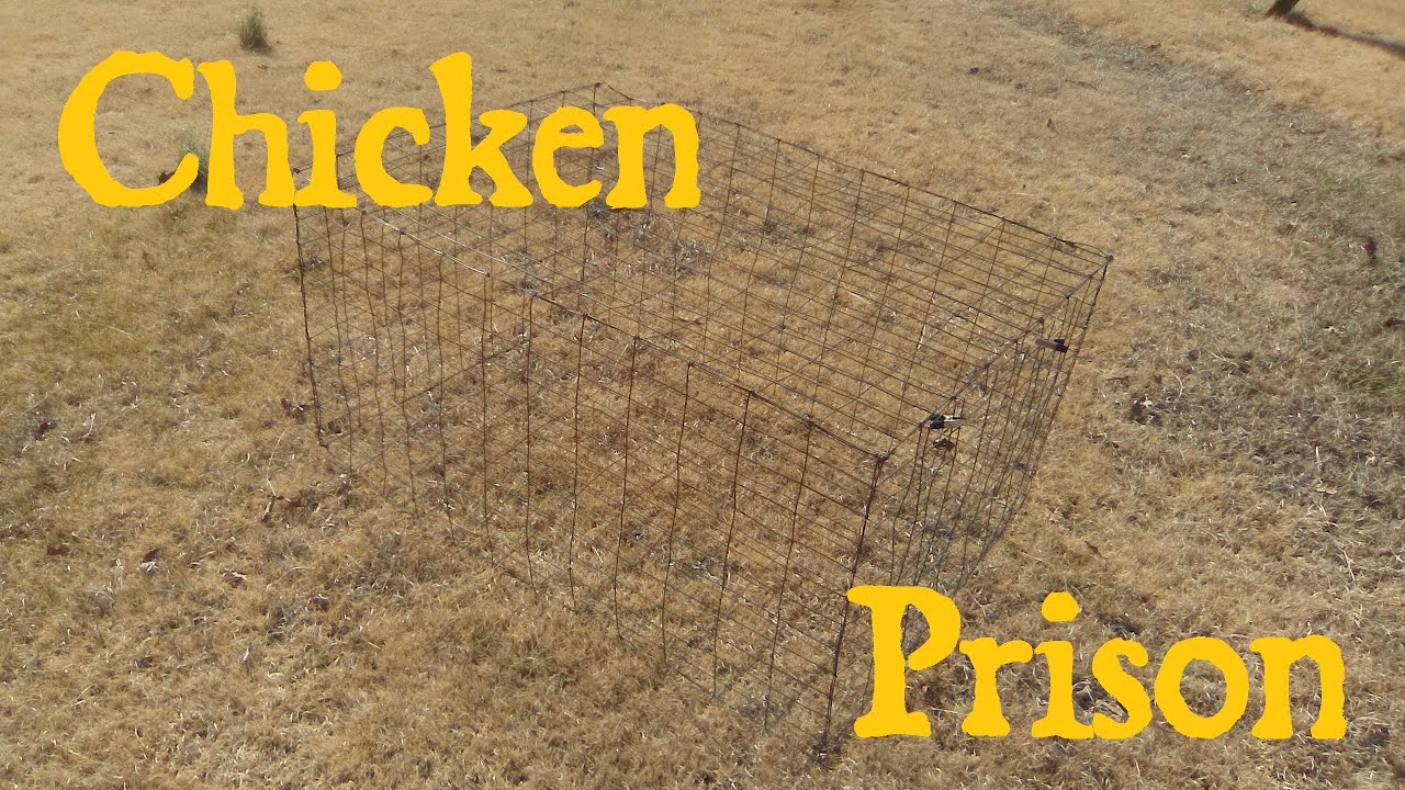 Redneck Repair/Build: How to make a chicken cage/carrier/thingy from ...