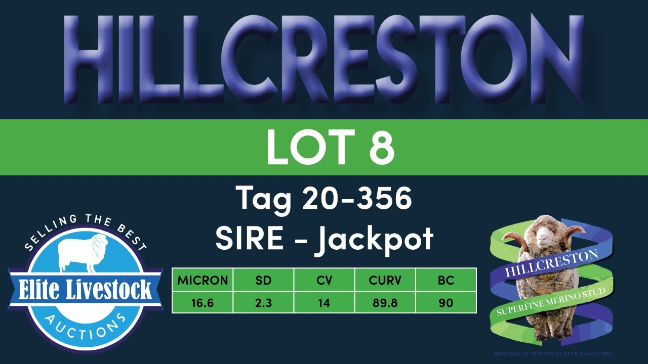 Lot 8 - Youtube