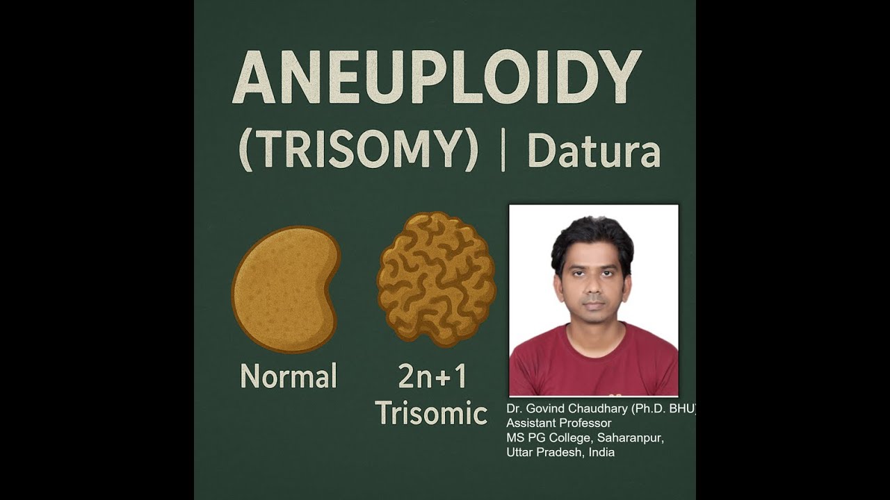 Aneuploidy in Plants | Trisomy in Datura | Cytogenetics Lecture - YouTube