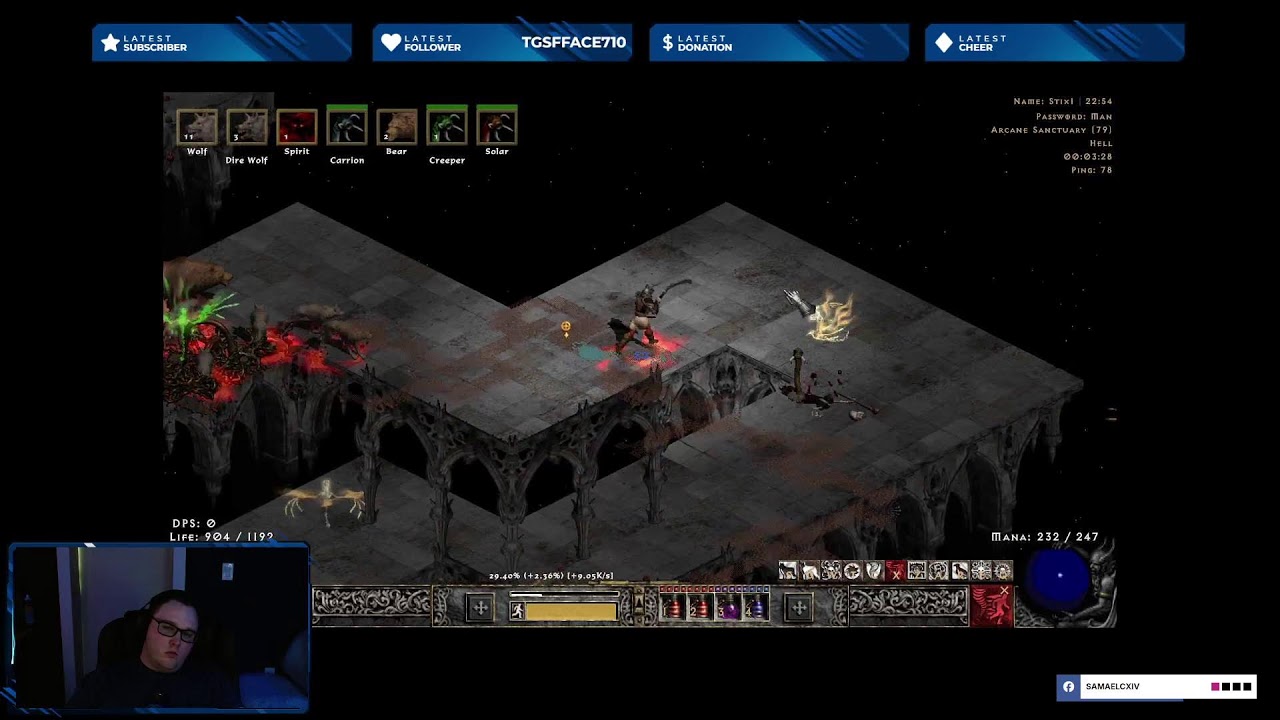 Project Diablo 2! Summon druid and maps - YouTube
