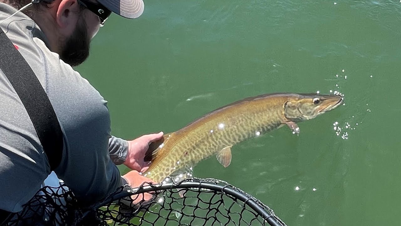 Trolling for Iowa Muskies - YouTube