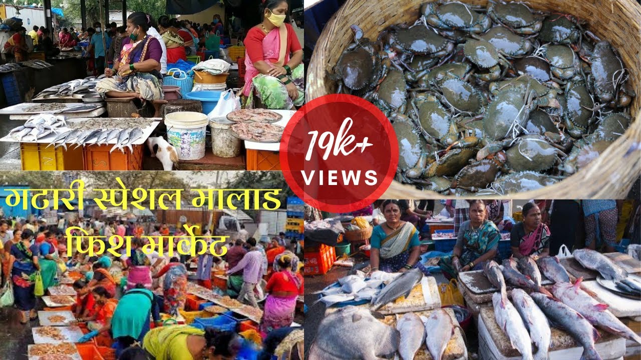 Malad Fish Market Revisit | गटारी अमावस्या | Gatari special | Vlog 23 ...