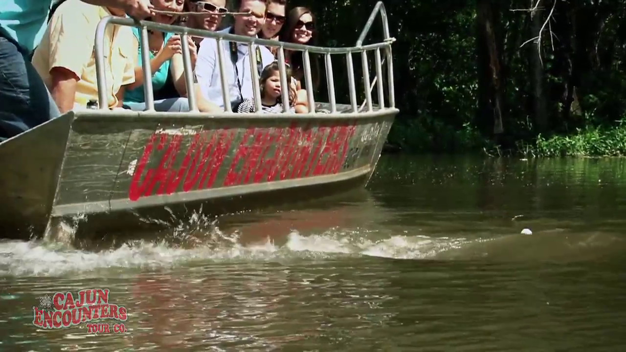 Honey Island Swamp Day Tour Cajun Encounters Youtube