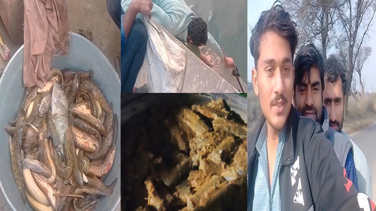 fish video | fish video of kind | fish video vlogs | fish recipe by ...