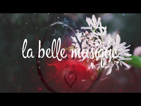 Tender - Lost - YouTube Music