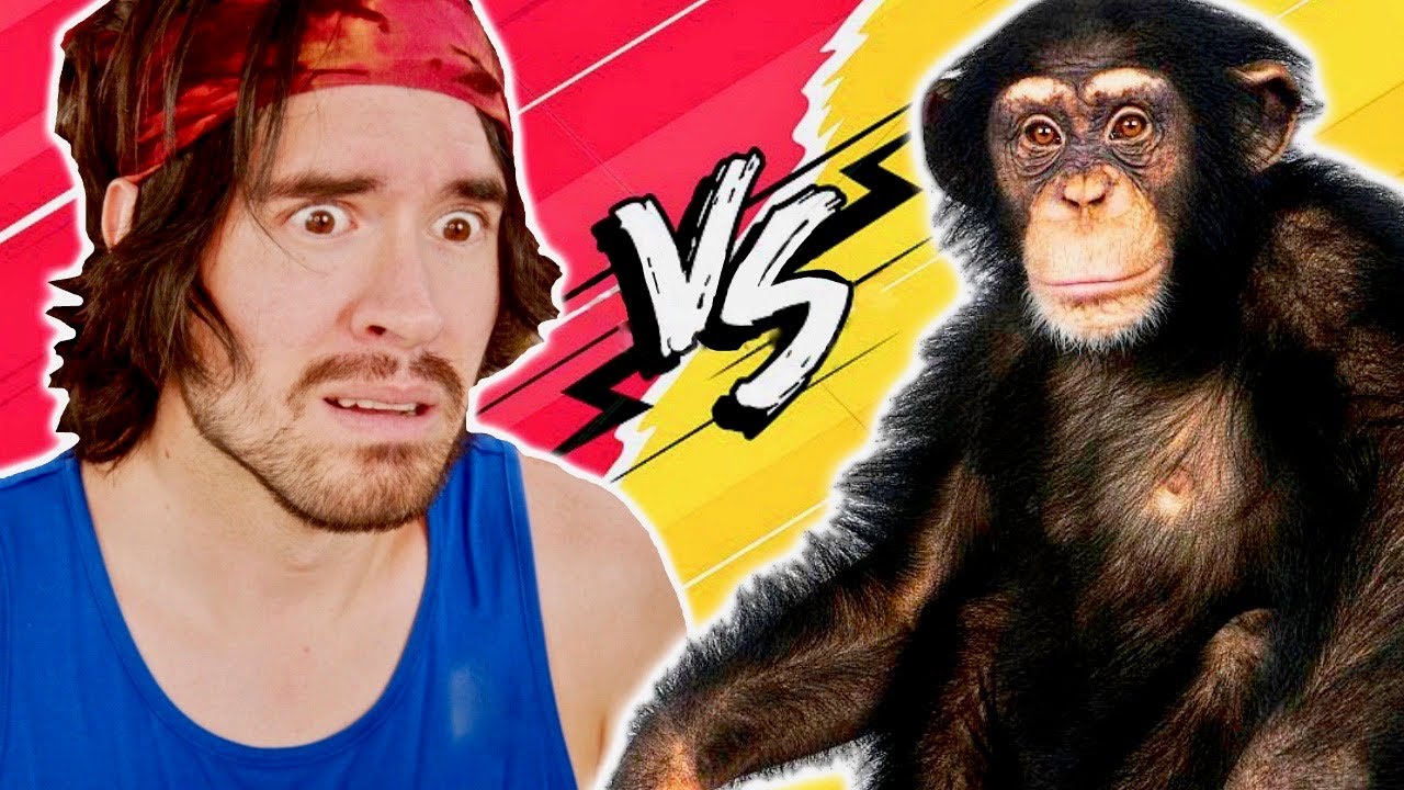 ¿SOY MAS INTELIGENTE QUE UN SIMIO? - YouTube